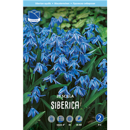 Сцилла Сиберика